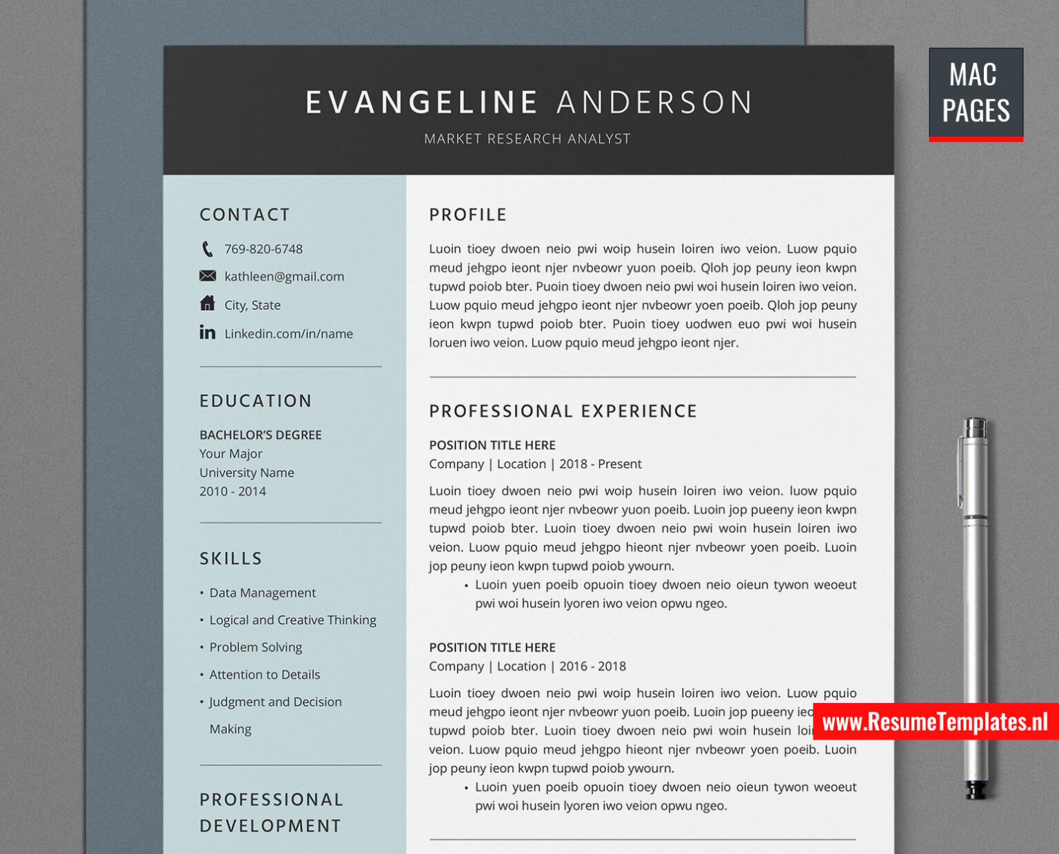 Resume Templates (for Windows or Mac) – ResumeTemplates.nl