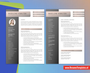 9 Unique and Modern Resume Templates: Make Your Resume Stand Out ...